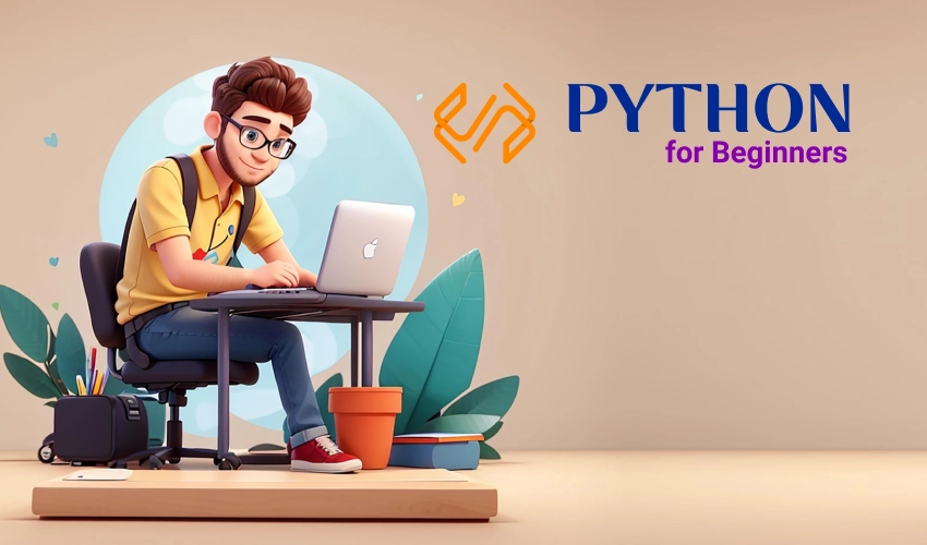 Courses | Dip Foundation